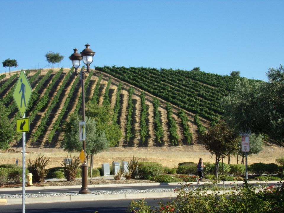 Lets Roll at Knoll Park, Knoll Park, Antioch, 10 December 2023 | AllEvents