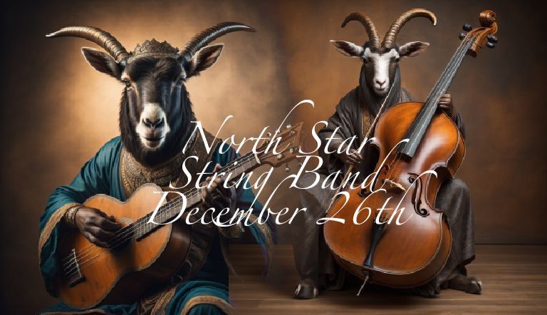 North Star String Band Keeps It Festive, The Angry Goat Pub, Rochester ...