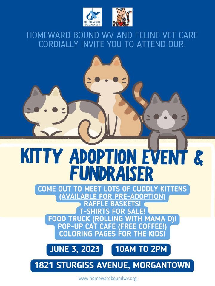 Kitty Adoption and Fundraiser, Feline Veterinary Care of Morgantown, 3 ...