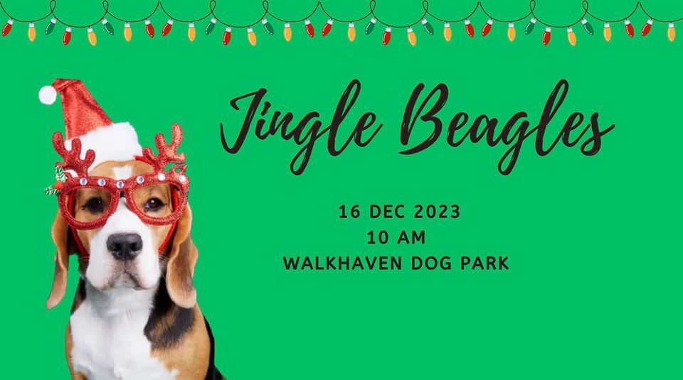 Jingle Beagles ??, Walkhaven Dog Park, Muldersdrift, 16 December 2023 ...