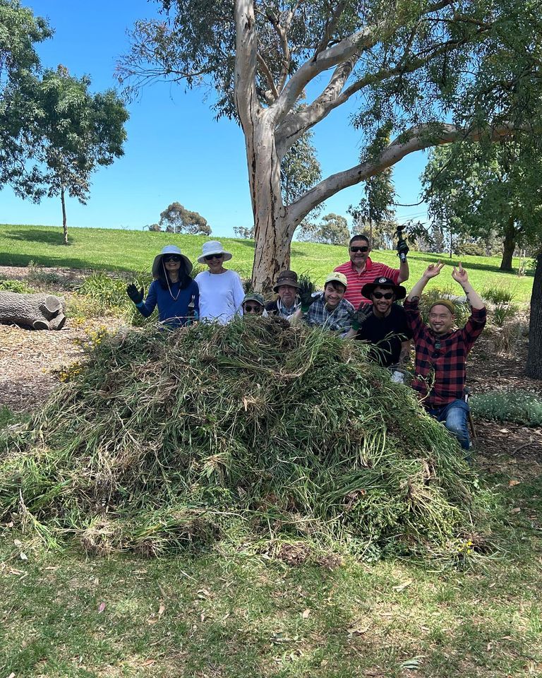 Afternoon Tea - Volunteer Thank You, Edwardes Lake, Essendon, 17 ...