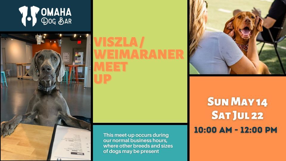 Vizsla & Weimaraner Dog Meetup at Omaha Dog Bar, Omaha Dog Bar, 22 July ...