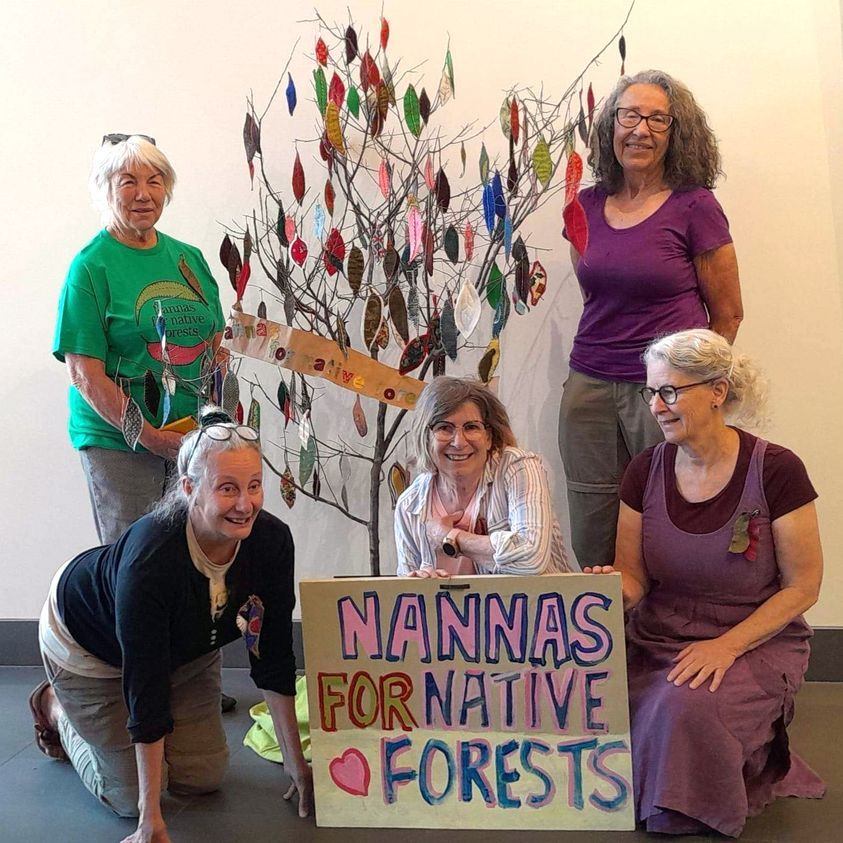 Perth Hills Nannas for Native Forests, Cafe Mojo Mundaring, Orange Grove, 4 November 2023 ...