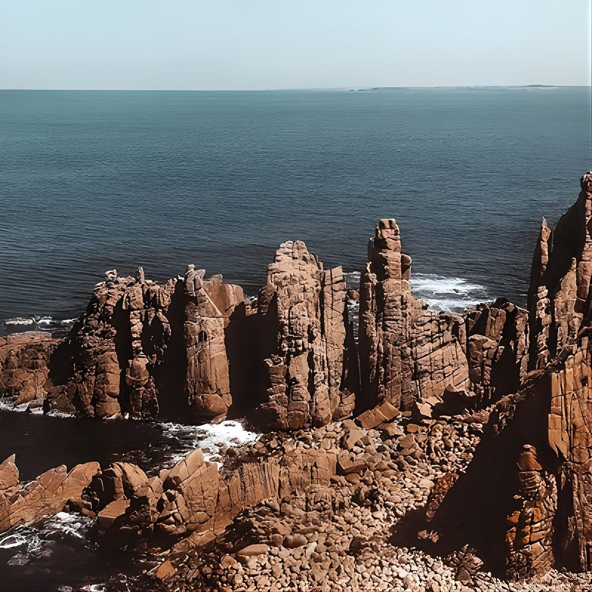 Small Group - Phillip Island Hike & Penguin Parade Day Tour from ...