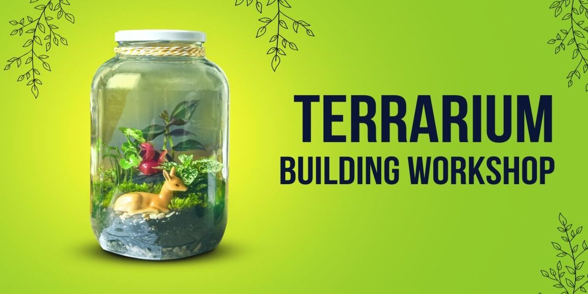 DIY Terrarium Making Workshop for Beginners, The Garden Store: Gurugram ...