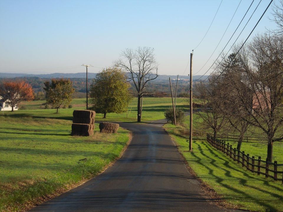 HRH Sunday Run, Barley Sheaf School, Flemington, 7 January 2024 | AllEvents
