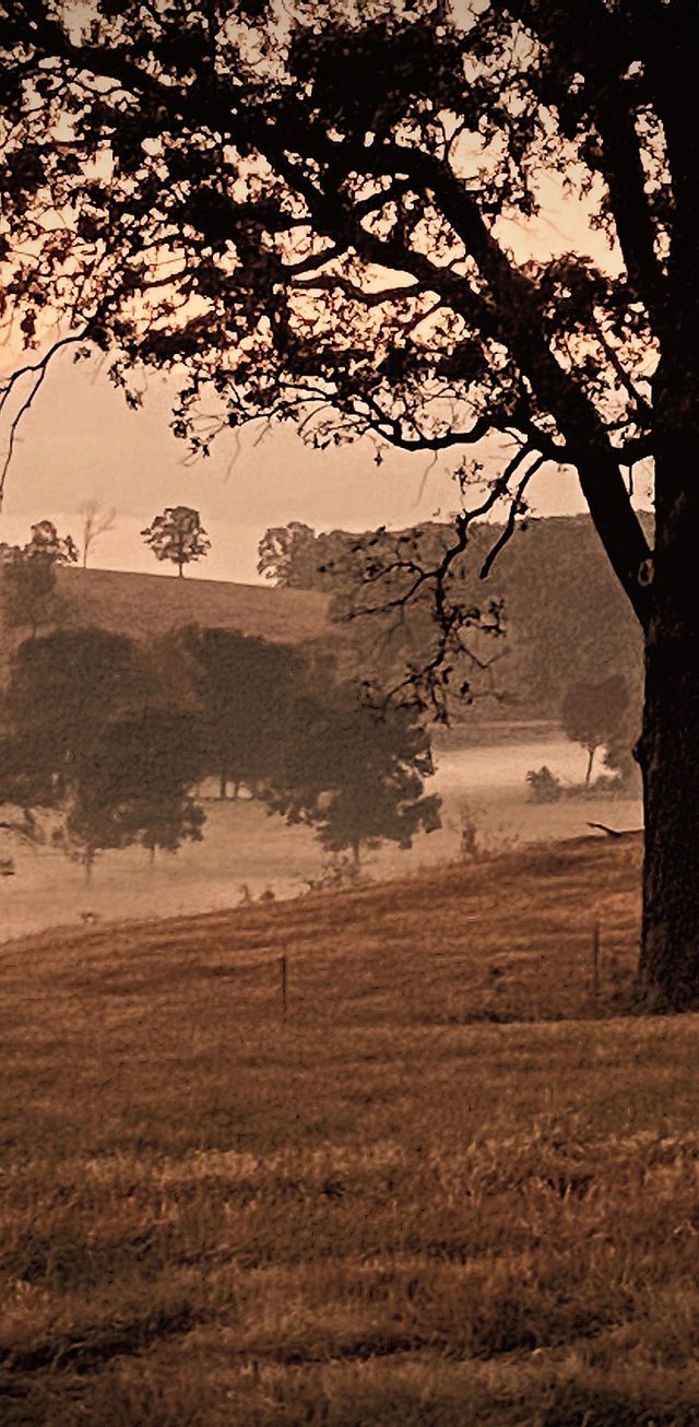 Party In The Pasture: Gary Allan & Sadie Bass, The Goat Ranch, South ...