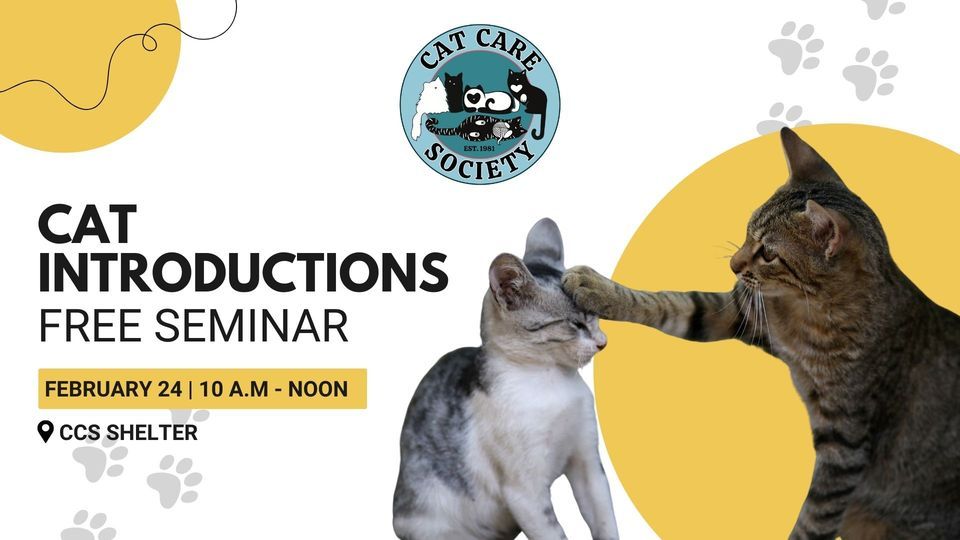 Free Seminar: Successful Cat Introductions, 5787 W 6th Ave Lakewood, CO ...