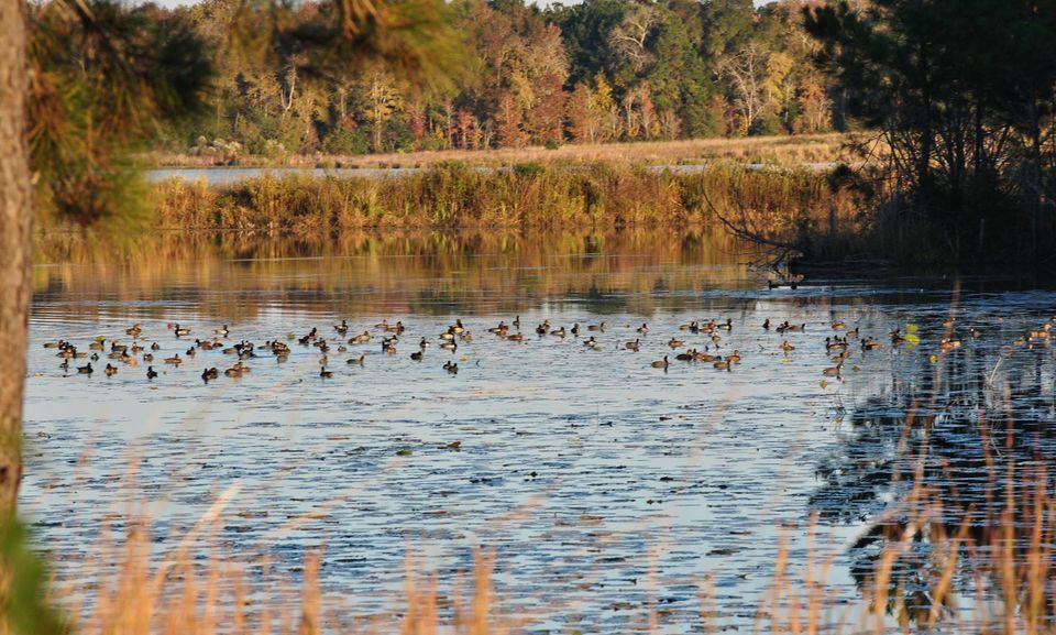 Southern Berkeley Banquet, Ladson Fairgrounds, Ridgeville, 15 December ...