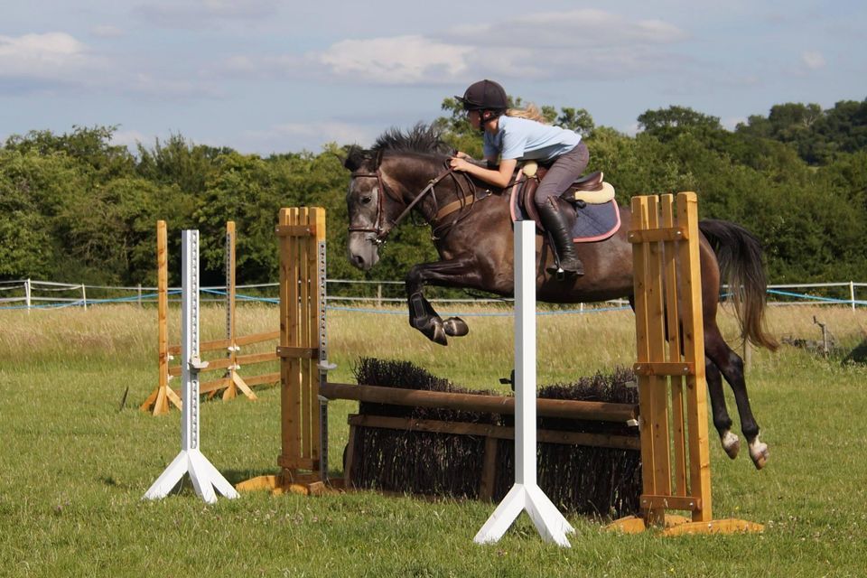 Arena Eventing on the outdoor surface arena. , B4211 Corse Lawn ...