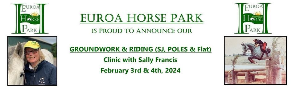 Sally Francis clinic - groundwork, flat, poles and SJ, Euroa Horse Park ...