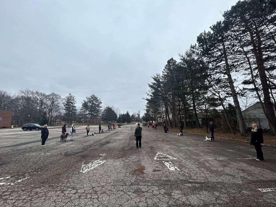 Packwalks (Socialization Training), Parma Heights Community Pool, 17 ...