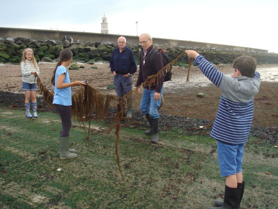 Seashore Safari at Reculver, Reculver Country Park, Herne Bay, 1 April ...