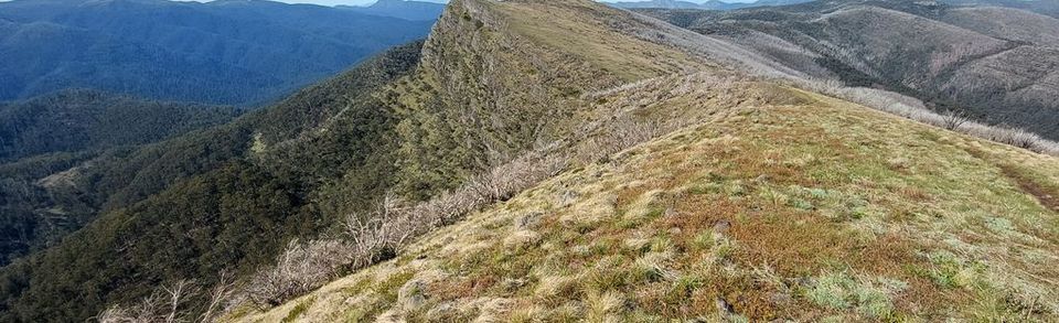 The Bluff & Mt Buller Spur Hike (Base-Camp), Sheepyard Flat Campsite ...