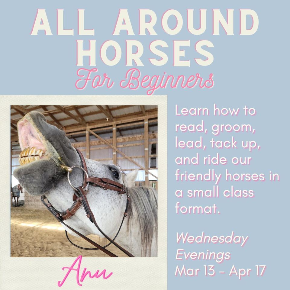 All Around Horses For Beginners, 4265 Waverley St, Winnipeg, MB R3V 1W8 ...