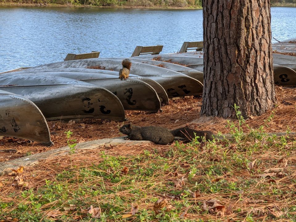 Spring Break Canoeing in Lake Raven, Huntsville State Park - Boathouse ...