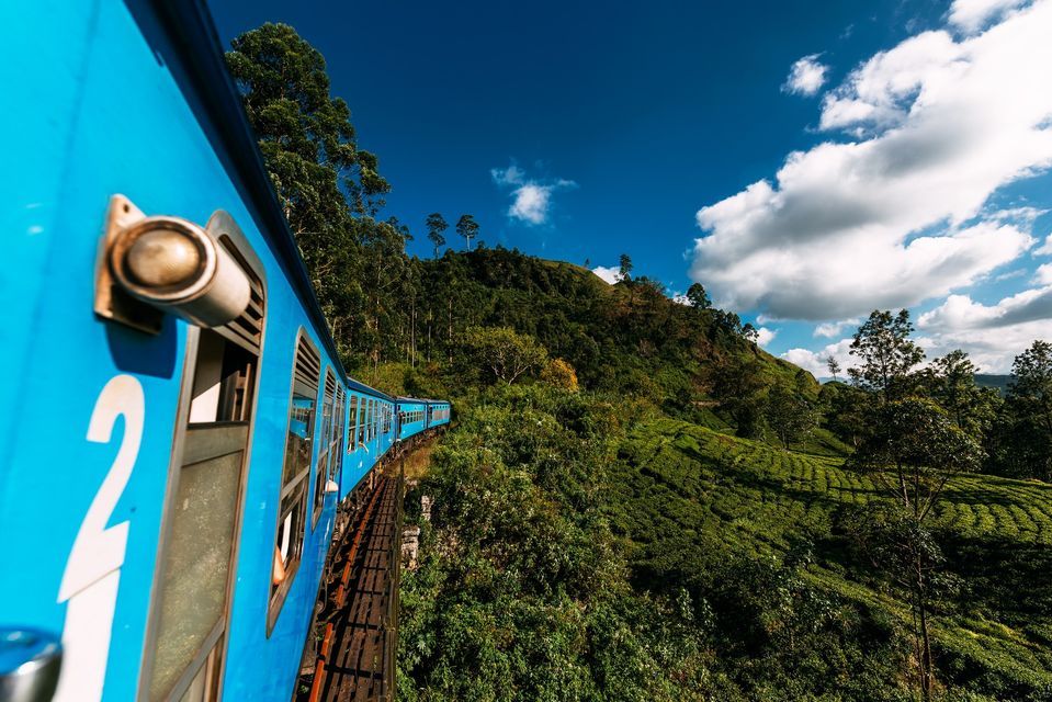 Visit Sri Lanka, trek in the Knuckles forest of Kandy, Kandy,Sri Lanka ...