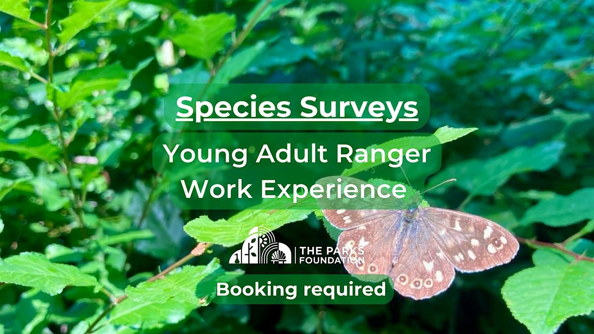Species Surveys - Young Adult Ranger Work Experience at Winton Rec ...