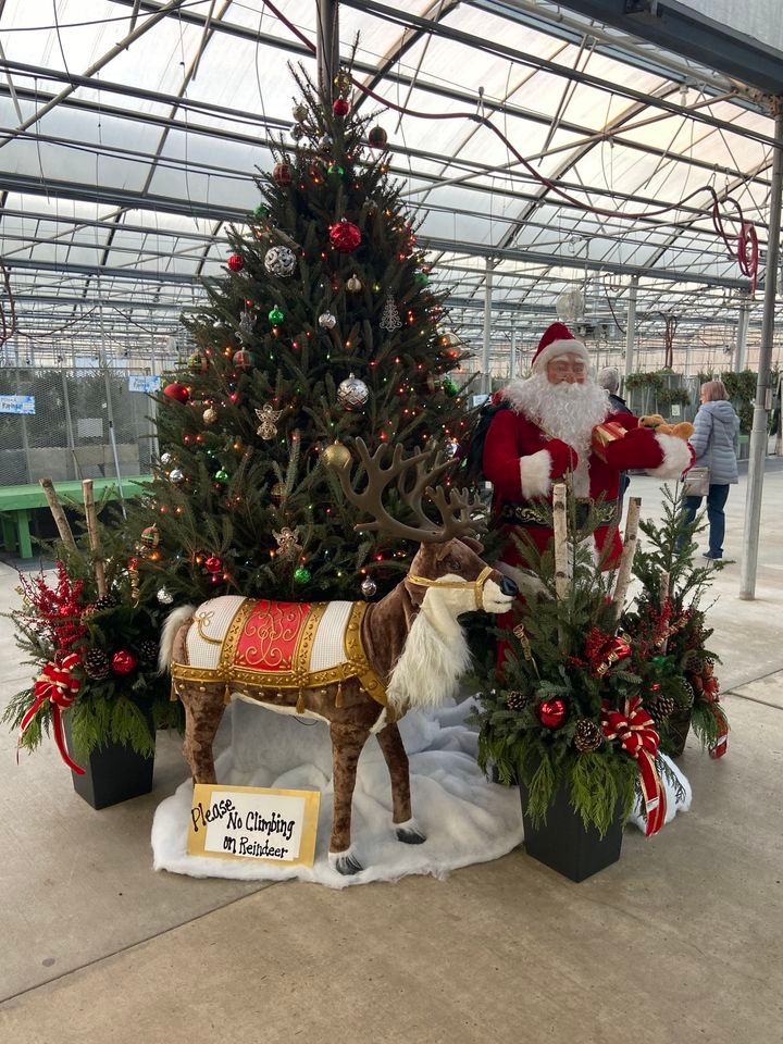 Christmas at Ruhlig Farms & Gardens after hours , Ruhlig Farms ...