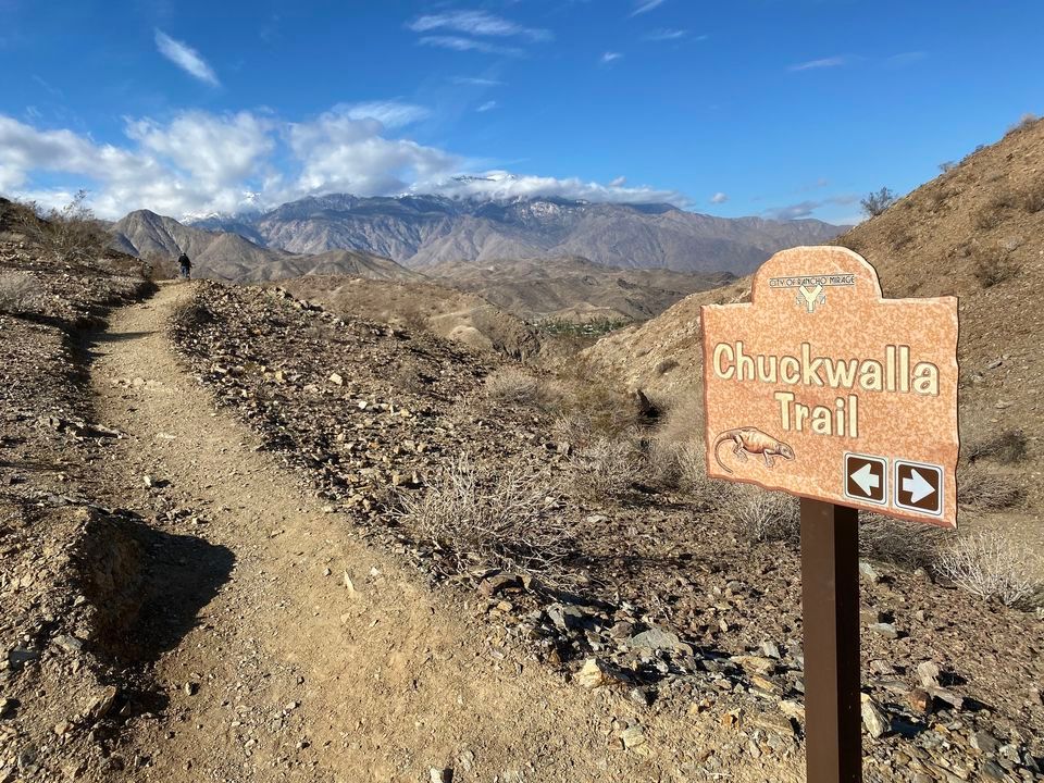 Interpretative Guided Hike, Chuckwalla Trail, Rancho Mirage City Hall ...
