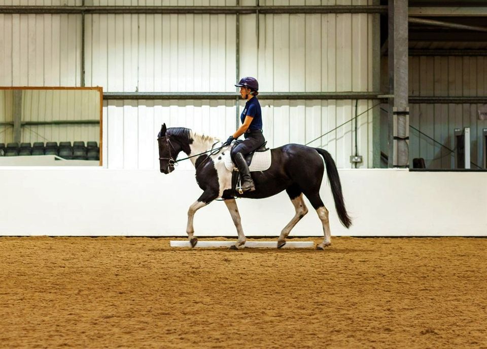 Unaffiliated Dressage, Kingston Maurward Equestrian, Dorchester ... Unaffiliated Dressage, Kingston Maurward Equestrian, Dorchester ...