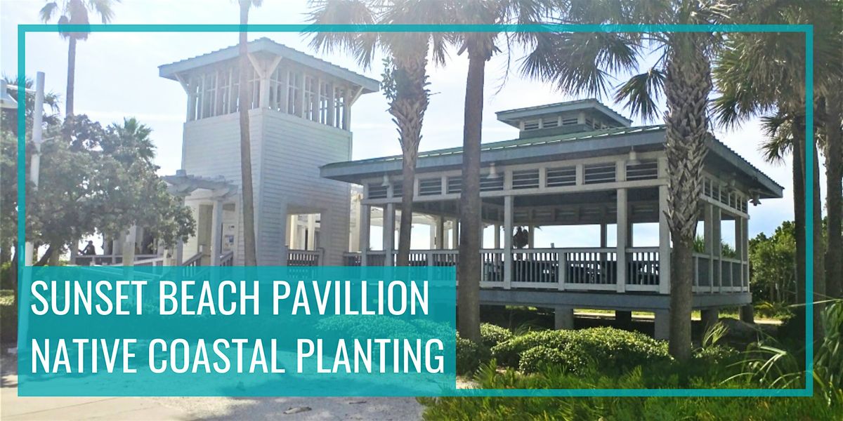 Sunset Beach Pavillion Coastal Planting, Sunset Beach Pavilion ...