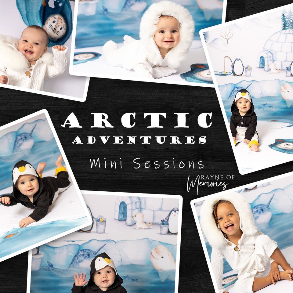 Arctic Adventures Children Only Mini Sessions, Rayne of Memories ...