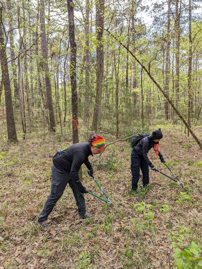 Spring Work Weekend at Ivys, Elkhart, TX, Houston, 15 March to 17 March | AllEvents