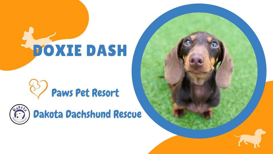 Doxie Dash, Paws Pet Resort, Sioux Falls, 3 June 2023 | AllEvents.in