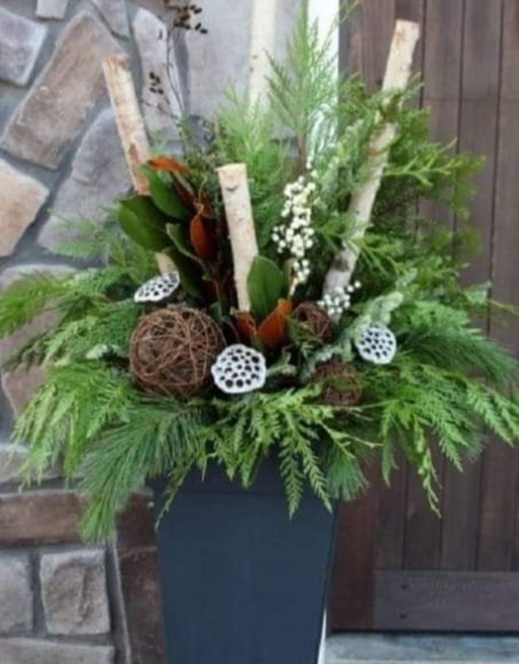 Spruce Tip Planter Class , Springfield Floral, 4 December 2023 | AllEvents