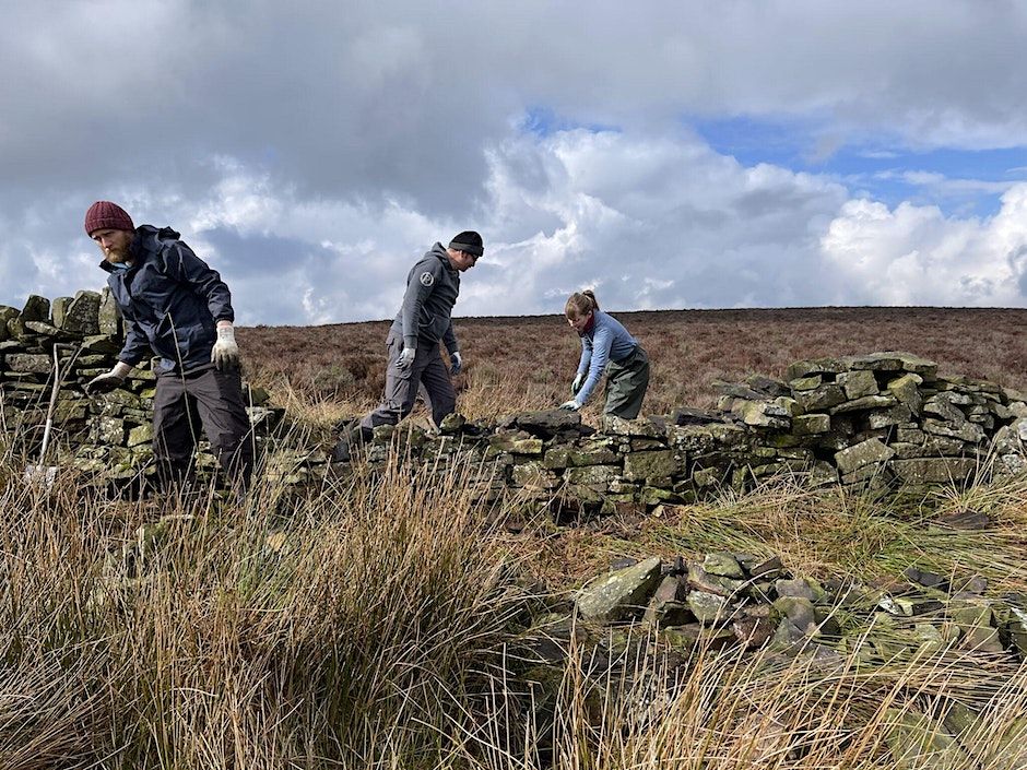 Volunteer Saturdays - Rebuilding Dry Stone Walls, Harwes Farm CIC ...
