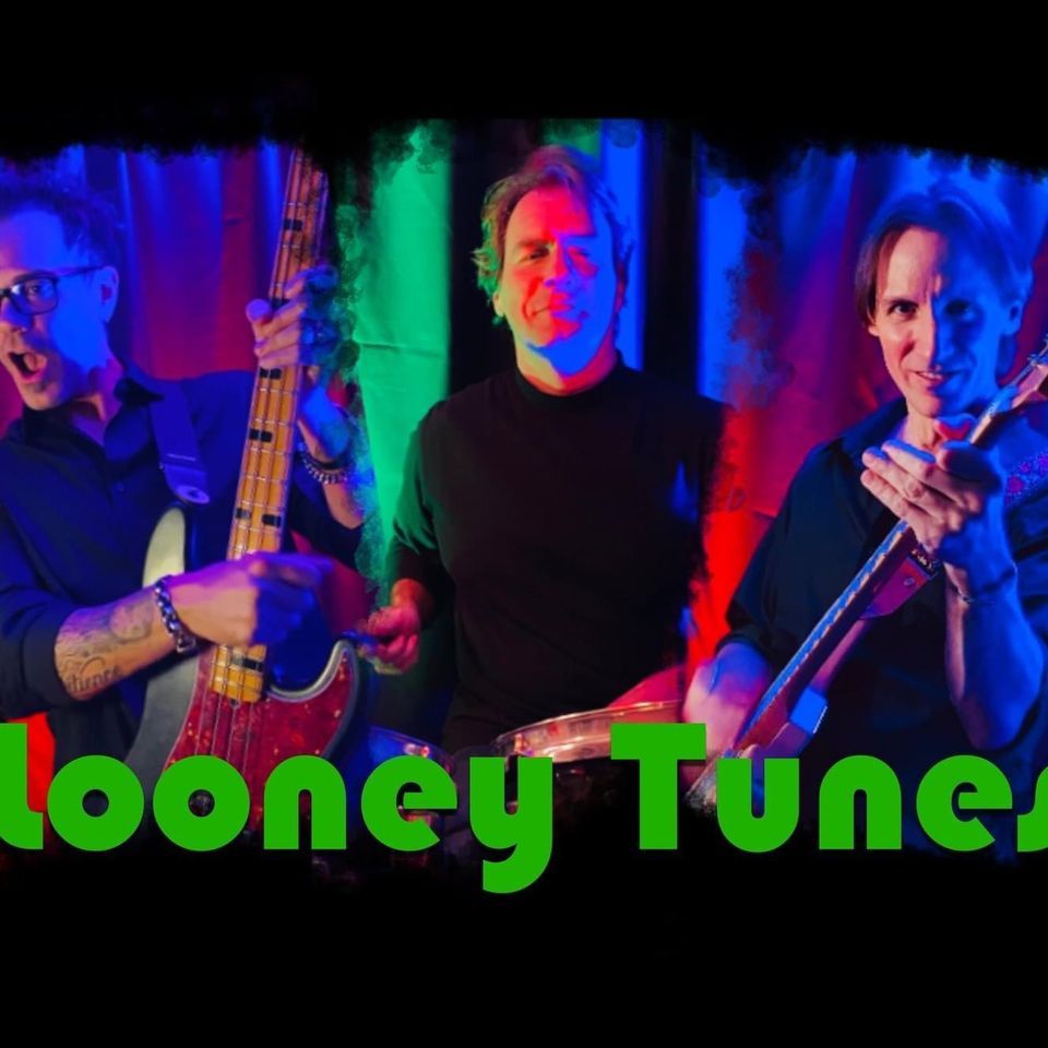Looney Tunes Rocks The Still!, The Still Bar & Grill, Agawam, 24 ...
