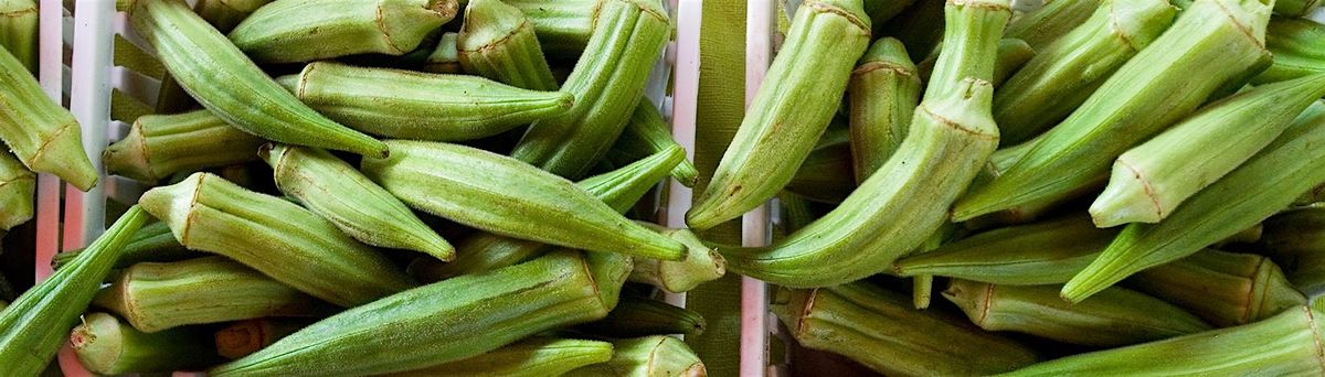 3/28/2026 Florida Native Okra: A Guide to Growing and Preserving Okra ...