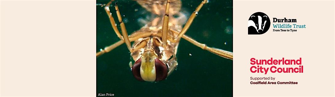 Seasons of Connection – Nature, Community & Wellbeing: Pond life ...