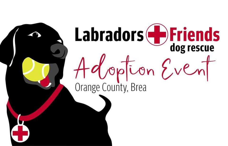 Orange County Adoption Event (Brea), PetSmart (Brea, CA), 28 January ...