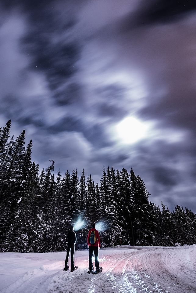Ice Magic: Night Snowshoe & Dinner, The Lake Louise Ski Resort & Summer ...