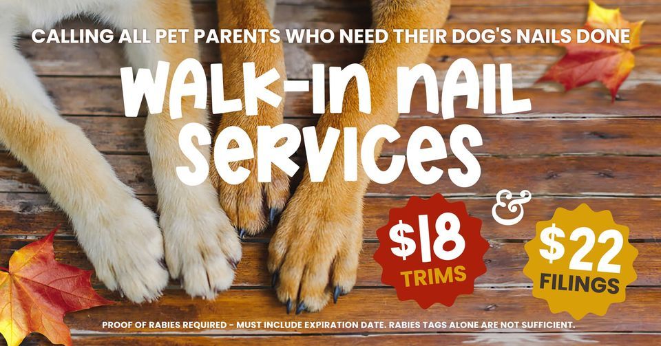 Walk In Nail Trims, 6465 Pullman Drive,Lewis Center,43035,US, 11 ...