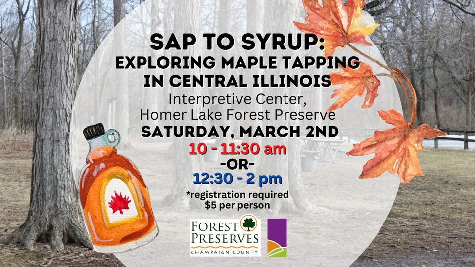 Sap to Syrup: Exploring Maple Tapping in Central Illinois, Homer Lake Interpretive Center, 2 ...