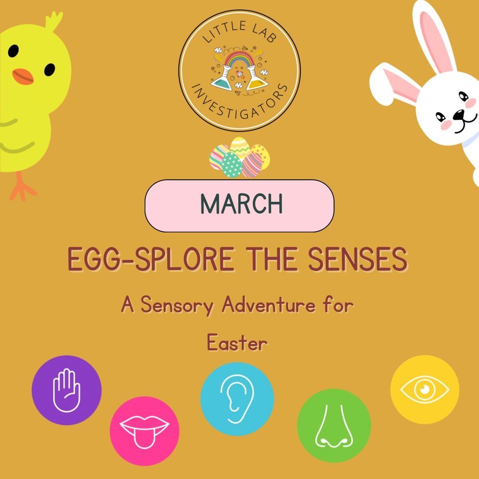 Egg-splore the Senses - A Sensory Adventure for Easter , Fullarton ...
