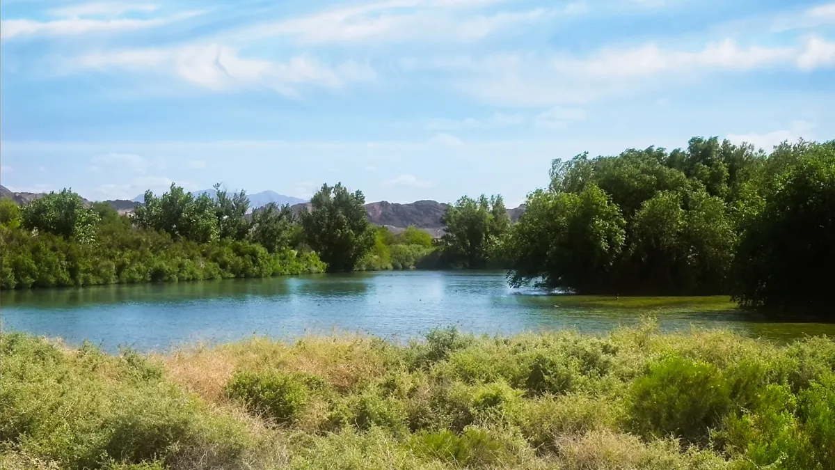 Urban Wildlife at the Henderson Bird Viewing Preserve, Henderson Bird ...