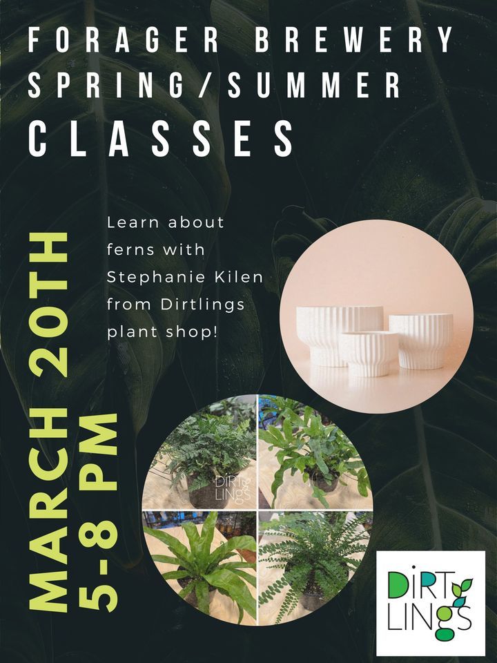 Friendly Ferns Plant Class with Dirtlings plant shop owner Stephanie ...