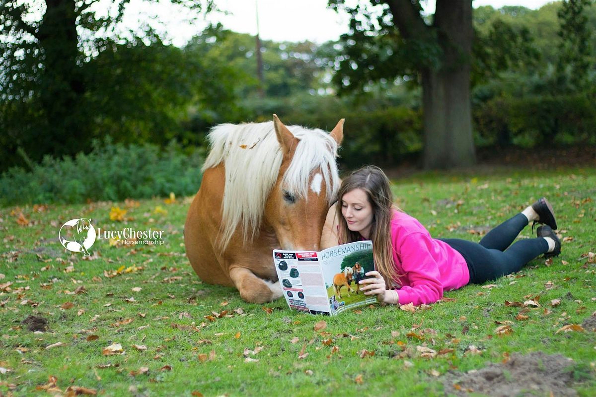 Understand Equine Body Language and Behaviour to Improve Your ...