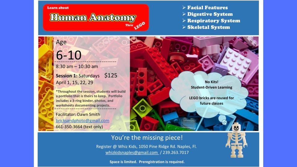 Lego Laboratory Workshop, Whiz Kids Play, Party, and Learn, Naples, 1 ...