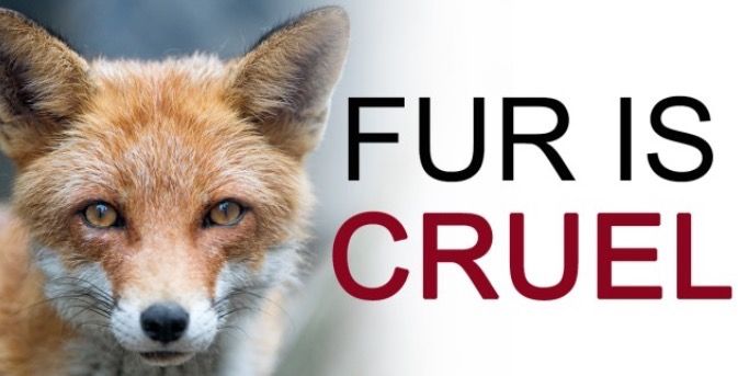 Fur-Free Friday, Galleria Mall, Clayton, November 24 2023 | AllEvents.in
