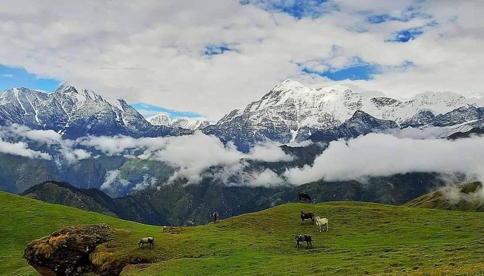 Ali and Bendi Bugyal trek, Tapovan, Rishikesh, 2 January 2024 ...