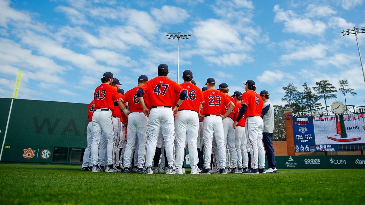 Alabama State Hornets at Auburn Tigers Baseball, Plainsman Park, Auburn ...