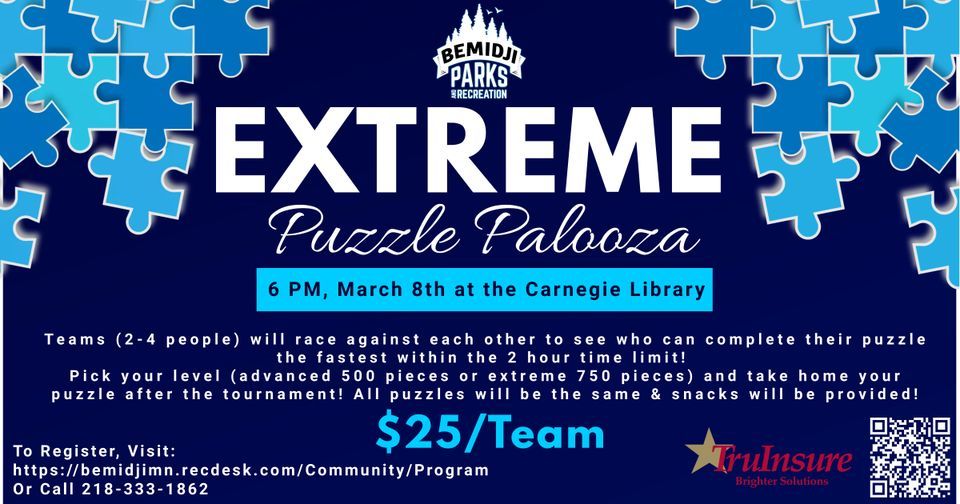 Extreme Puzzle Palooza, Bemidji Carnegie Library, March 8 2024 ...