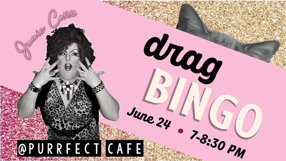Bingo Night With Jamie Coxx Purrfect Café And Gallery Buffalo June 24
