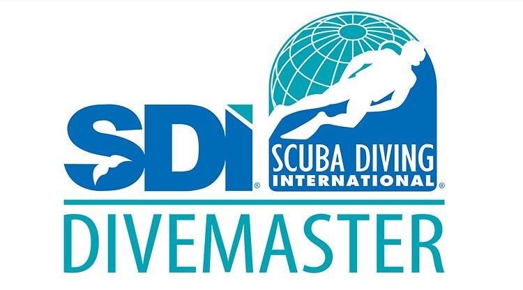 SDI Divemaster Course, Ecological Divers Tenerife, Santa Cruz De ...