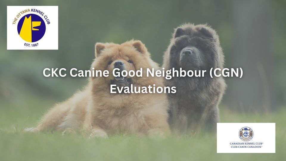 Canine Good Neighbour (CGN) Evaluations, 1604 Wellington St., Kars, ON ...